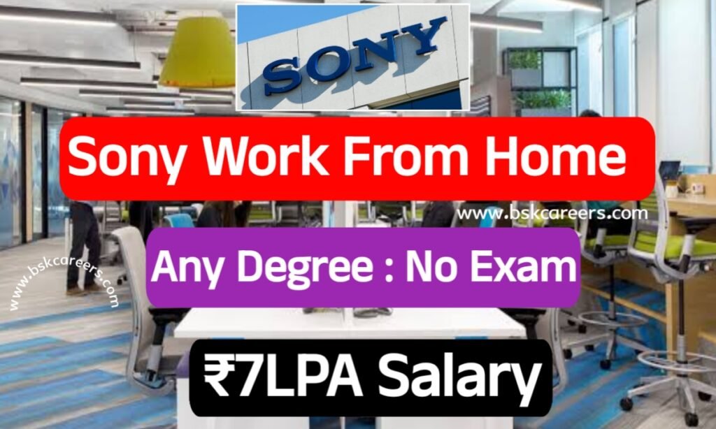 Sony Company WFH Internship 2024 | Latest Jobs 2024 - bskcareers.com